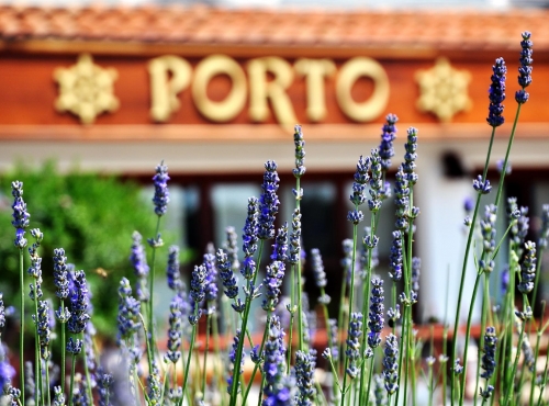 Terme Talaso Strunjan - Slovenia 360