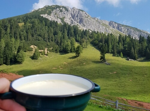 Ojstrica najlepši pogled na Blejsko jezero, blejski grad in karavanke ...