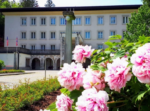 Ojstrica najlepši pogled na Blejsko jezero, blejski grad in karavanke ...